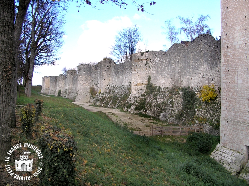 LA FRANCE MEDIEVALE: PROVINS (77) - Remparts médiévaux
