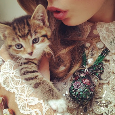Catsparella: Impossibly Cute Kitten Outshines Model In Fabergé Photo Shoot
