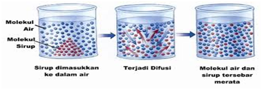 Sel - Biologi Buanget