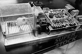 Psicologia para todos : Diferença entre Condicionamento Clássico e ...