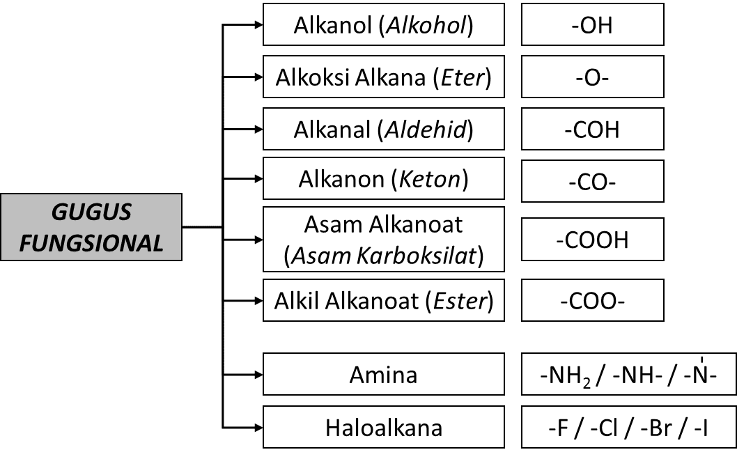 ELSA KIMIA ORGANIK 1: KLASIFIKASI SENYAWA ORGANIK