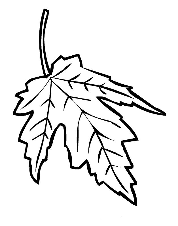 EDUCATIA CONTEAZA : CAND, CUM SI DE CE SE INTAMPLA - FRUNZE AURII ...