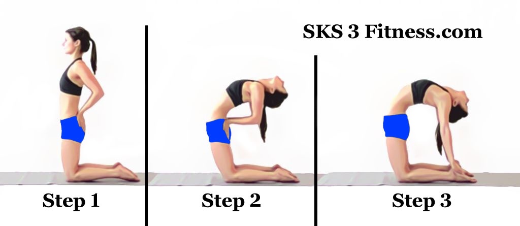 Ustrasana Meaning