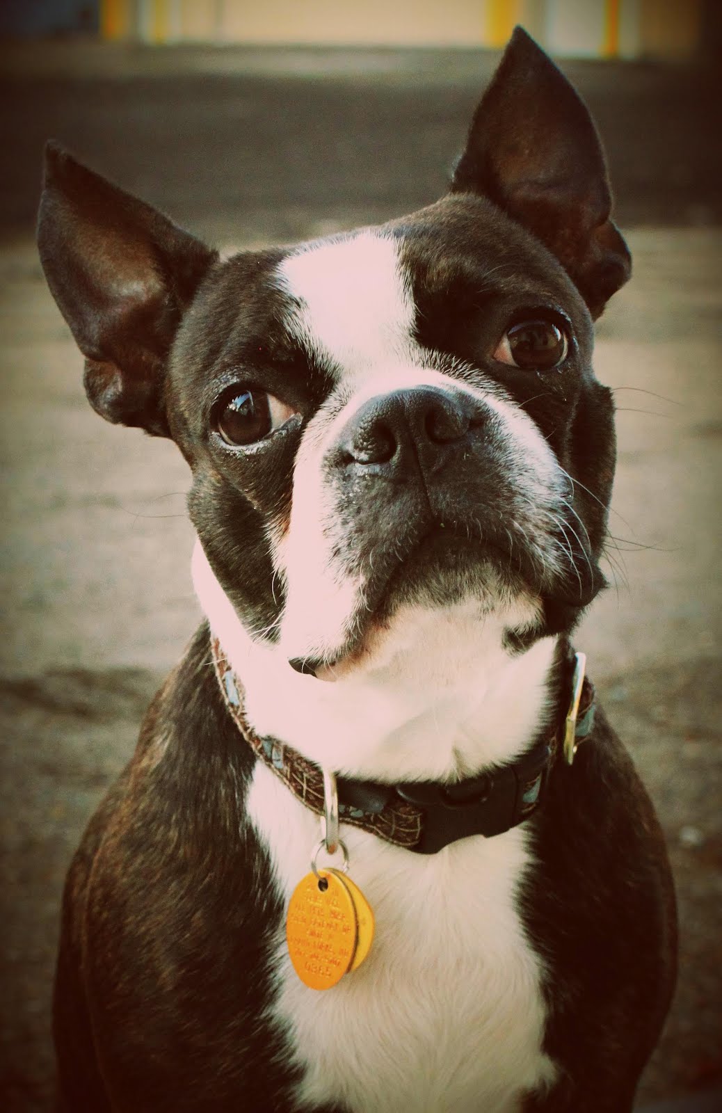 ...completely random stuff...: February 2012