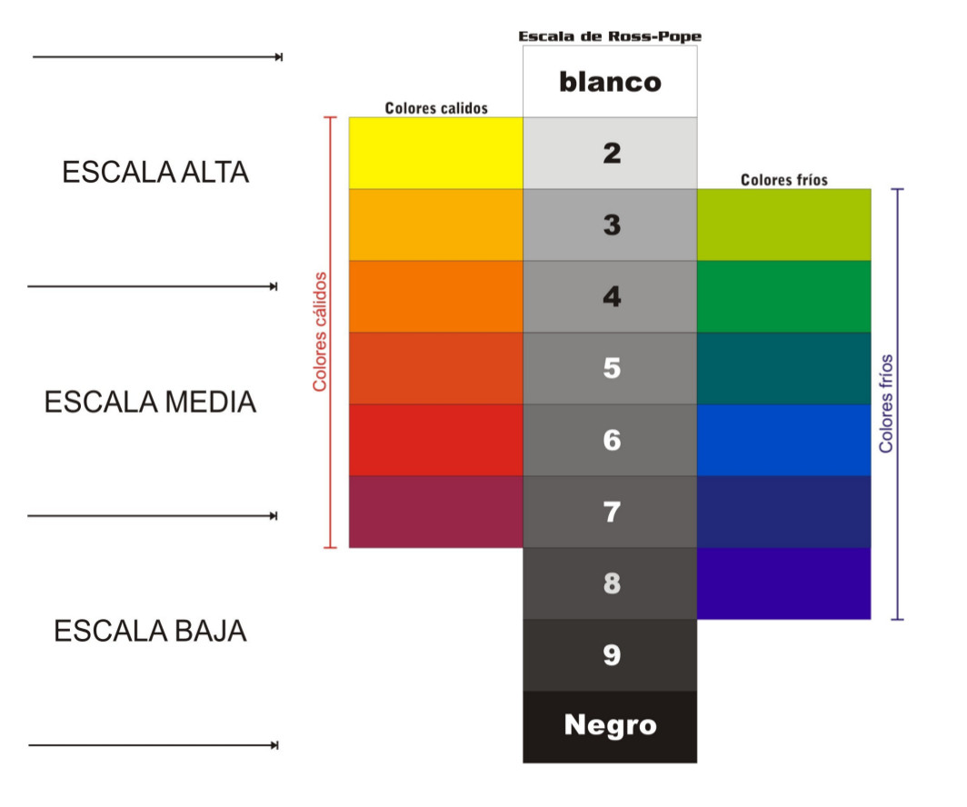 Arte digital y photoshop: Valor tonal