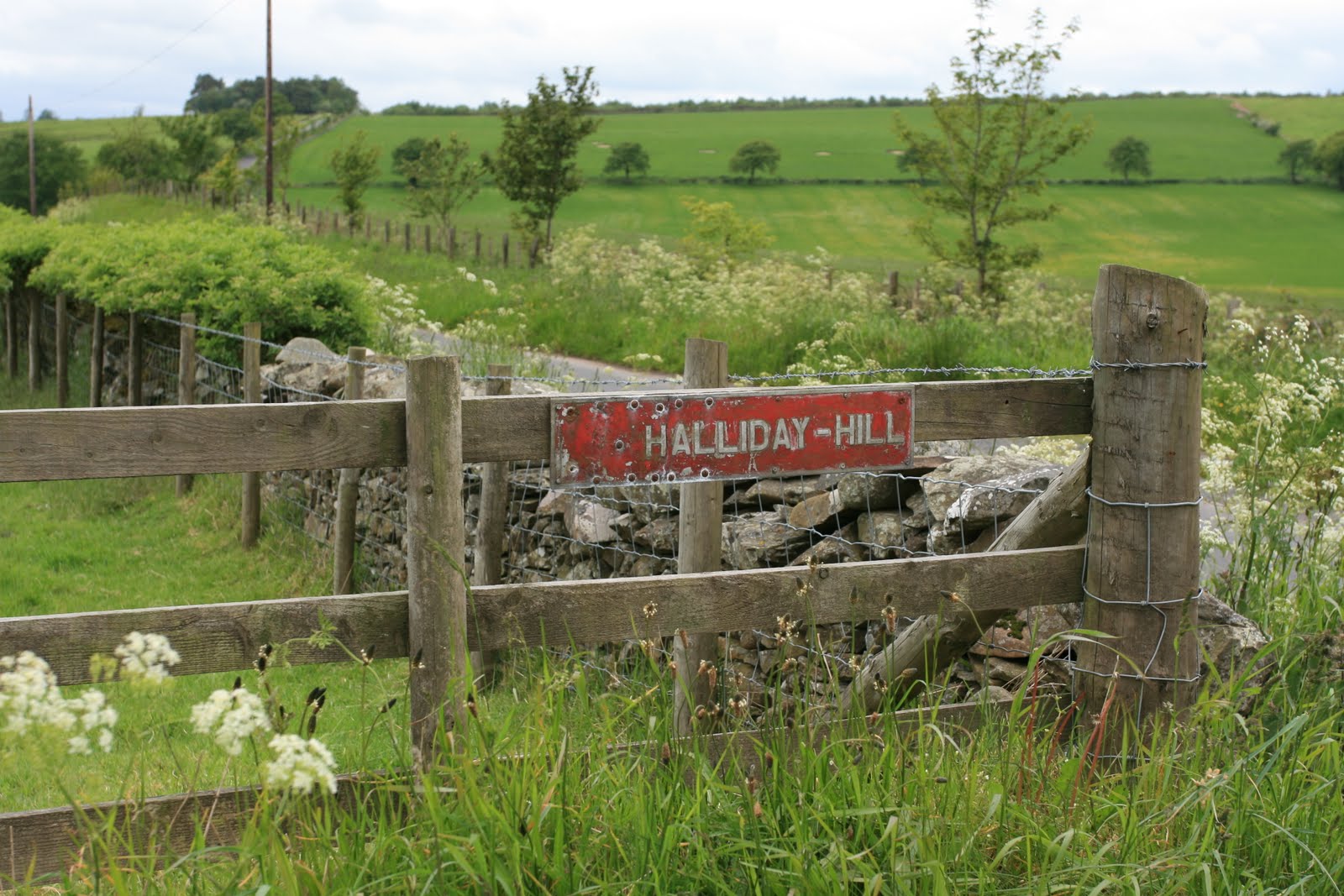 Halliday of Scotland: Halliday Hill