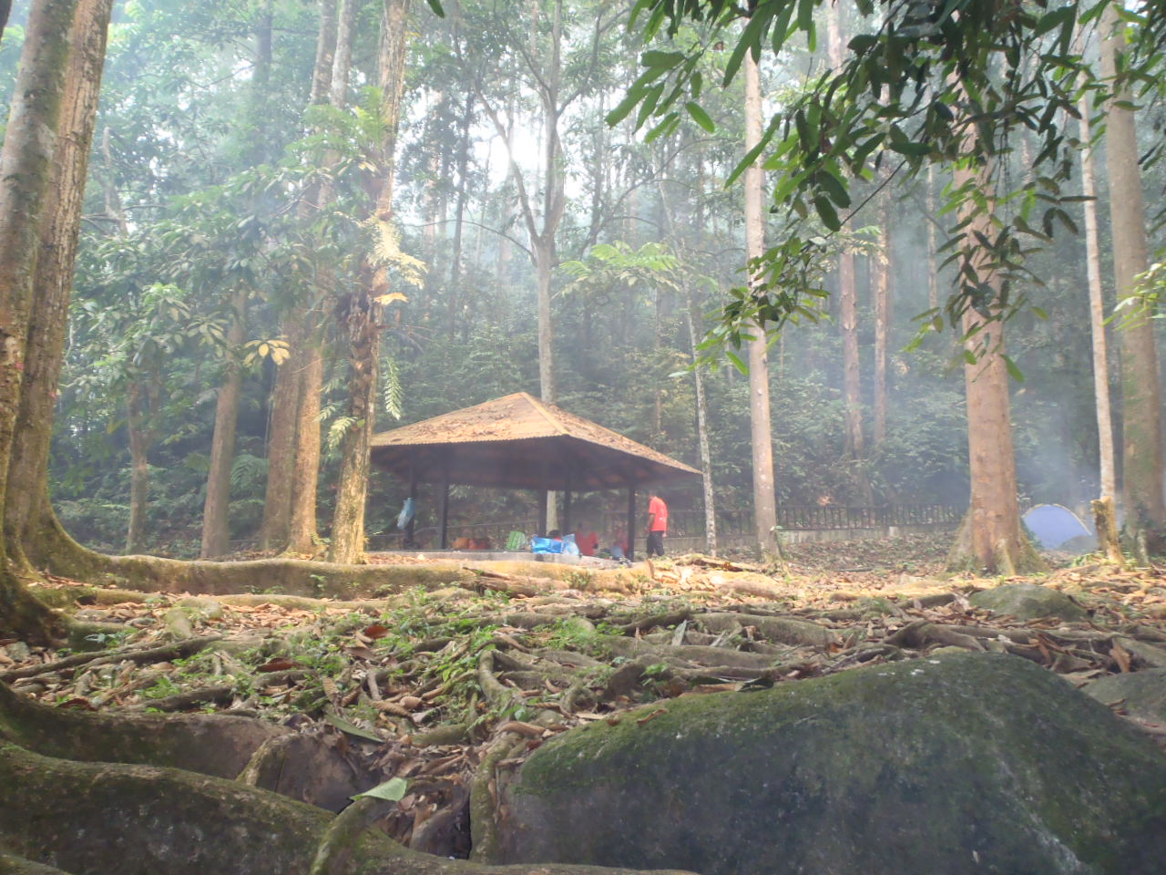 It's My Life: Piknik berjerebu di hutan Frim