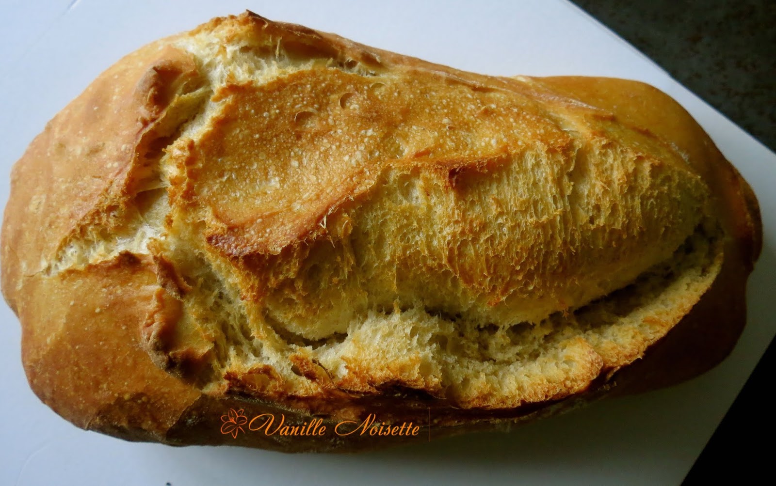 Vanille Noisette : LE PAIN BÂTARD