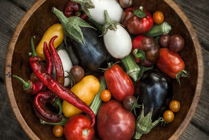 Rip City Recipes: Creamy Stinging Nettle Sauce