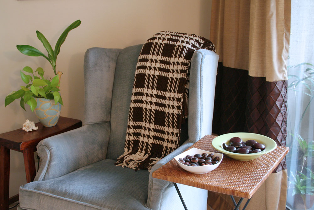 The Rainforest Garden: Sea Beans and Drift Seeds