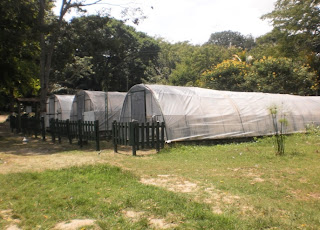 Parque Temático Bosque Macuto