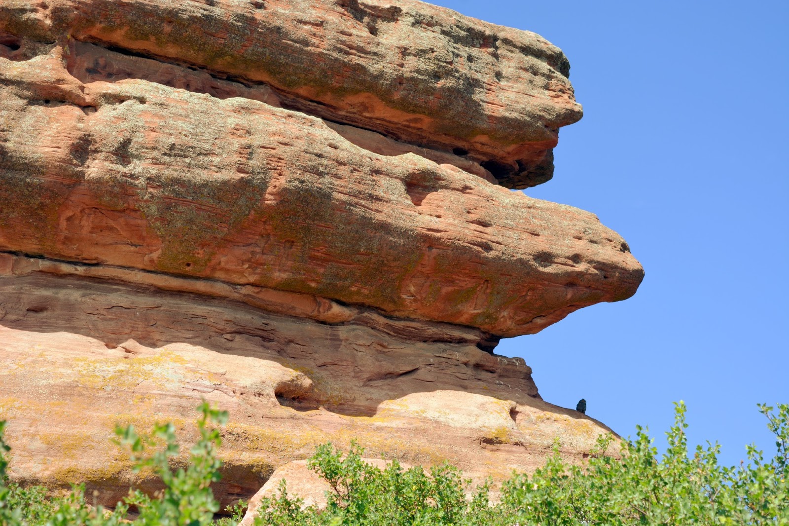 Mille Fiori Favoriti: Chief Colorow and Colorow Cave