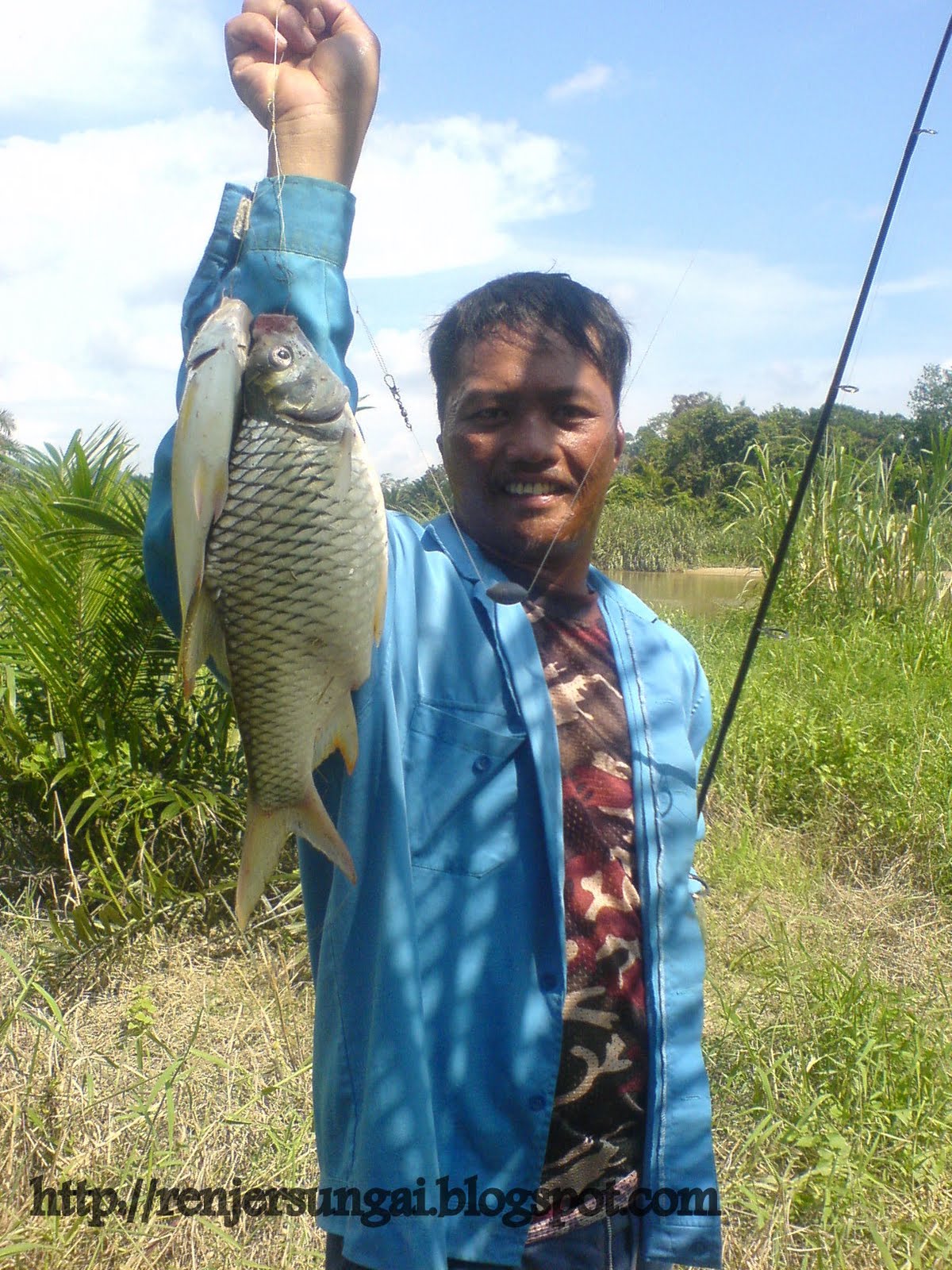 Renjer Sungai: INFO TENTANG IKAN LAMPAM.