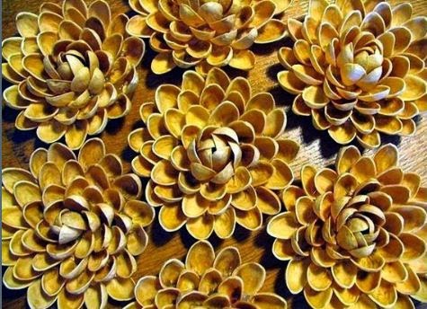Manualidades con cascaras de pistache ~ cositasconmesh
