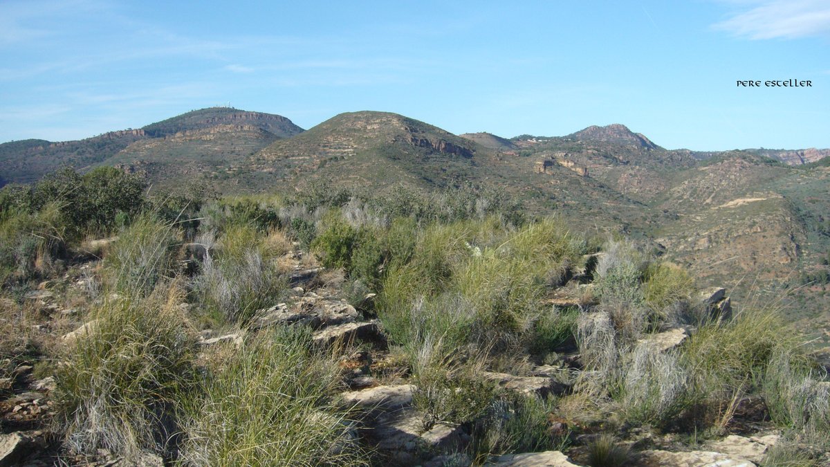 PENYA ROJA | Al Sur De La Calderona