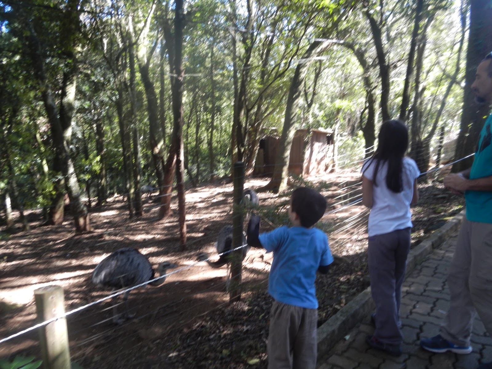 Pra lá que eu fui: Gramado zoo e Parque Gaúcho. Passeio com crianças.