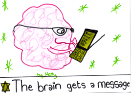 Welcome to the ESL class: NERVOUS SYSTEM AND MORE...