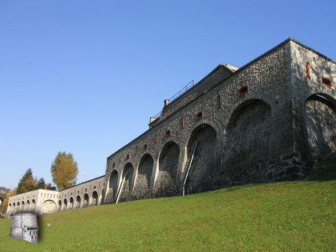 AMO DEL CASTILLO: MATACANES