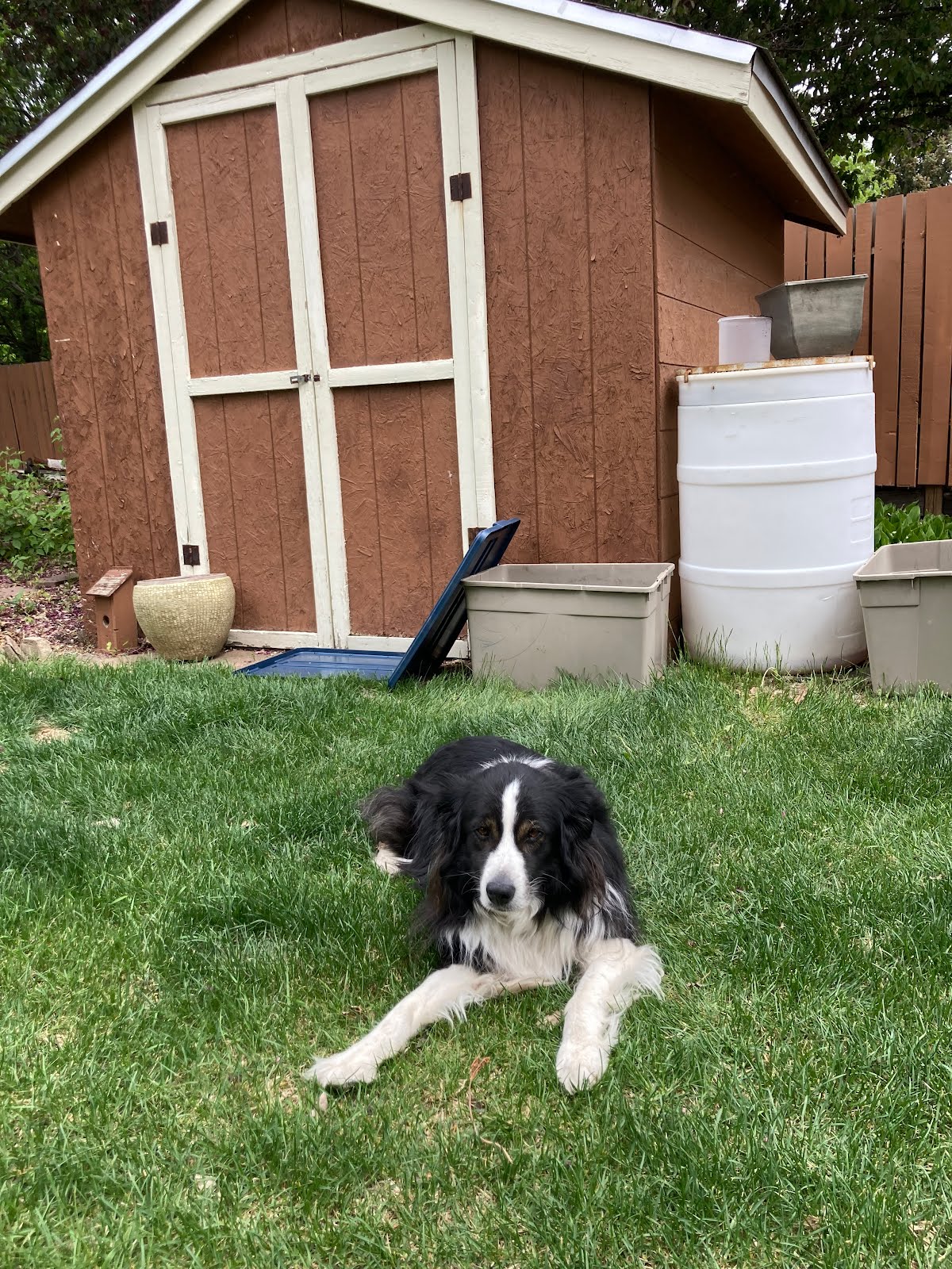 Zero Gravity's - Puddle Jumper: Saturday June 4 2022 - Puddle is chilling