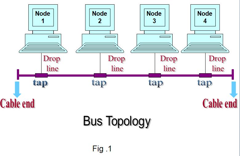 Networking(DCCN): Topologies