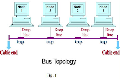 Networking(DCCN): Topologies