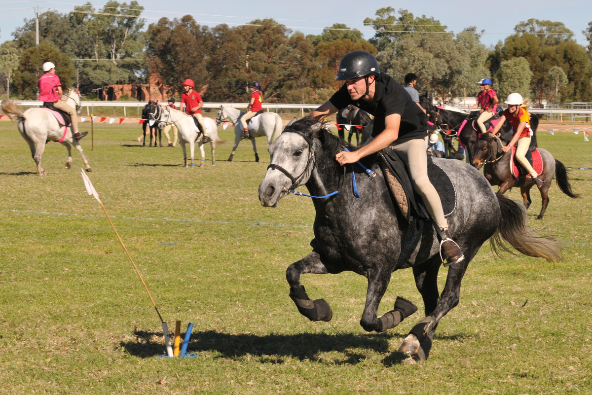 A Photo A Day For 365: 45 -Australian Mounted Games Association Event
