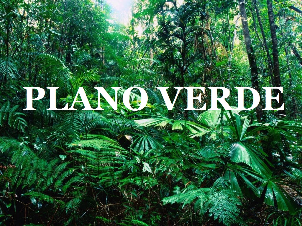 PLANO VERDE