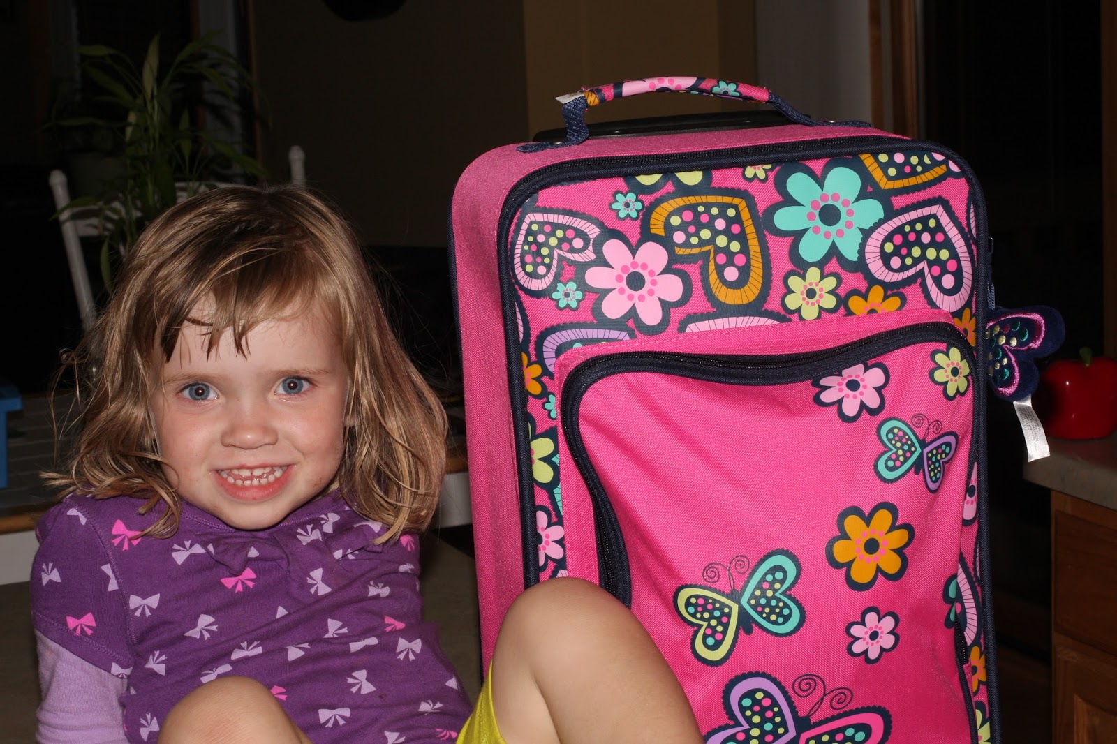The McLaughlin Family Blog: All Packed And Ready To Go