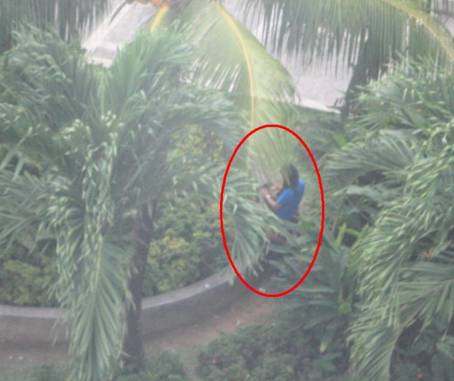 F R E E M I N D S Cebu Scandal At The Park