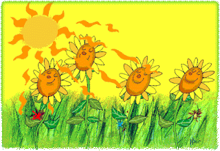 Easy Way (A Blog For Children): THE SUN SHAPED FLOWER : SUNFLOWER
