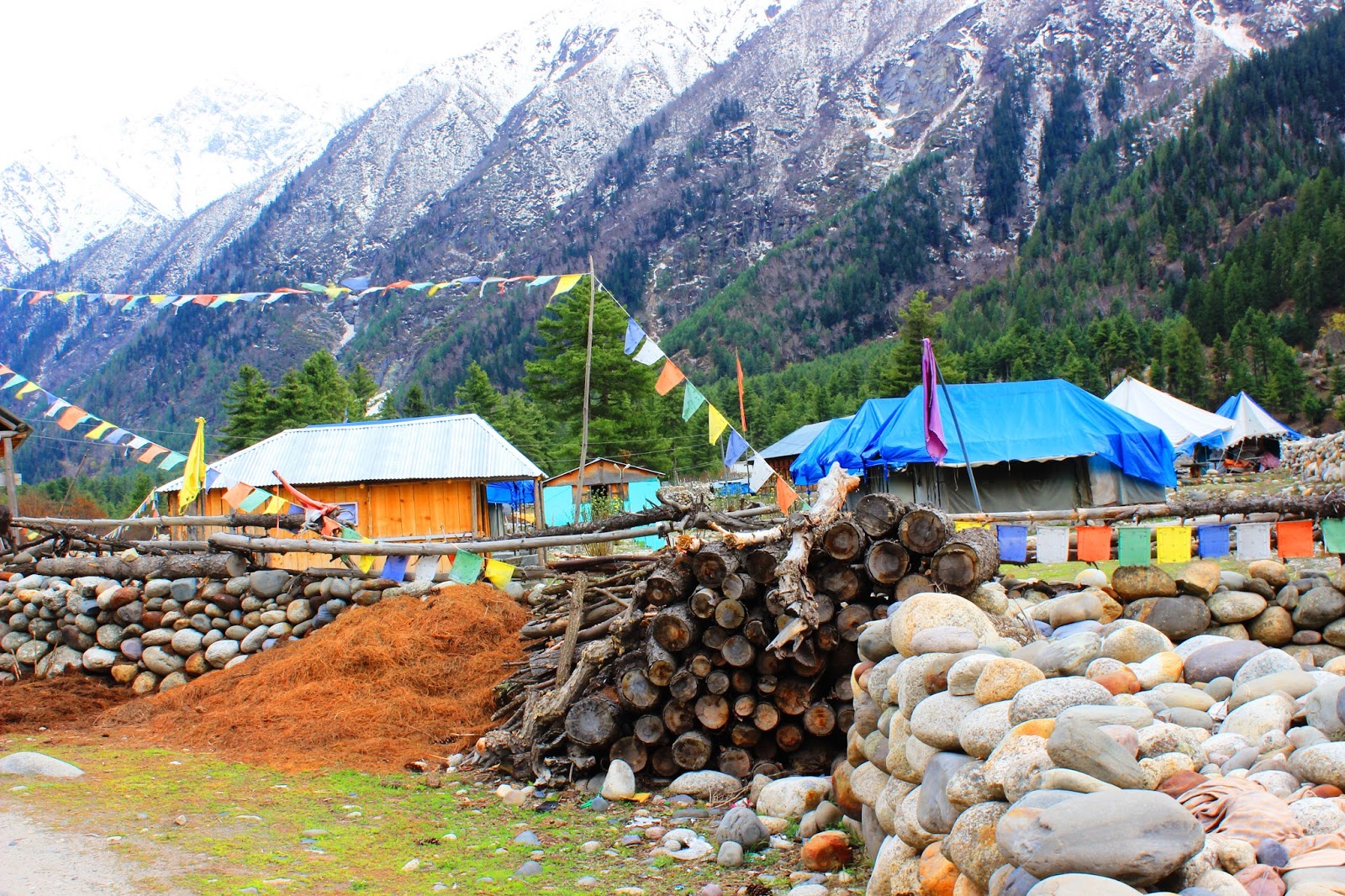 Vibrant India: Rakcham .Why we preferred it to Sangla (Kinnaur)