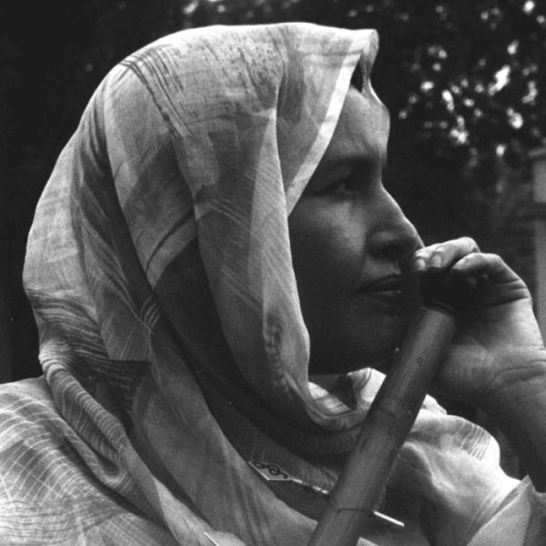 Jardim de Pedra: Africa (Algeria, Marrocos, Mauritania, Sudão, outros)