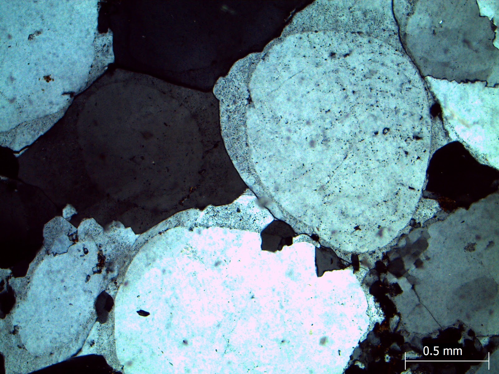 Rapid Uplift: Photomicrograph: Super Mature Quartz Arenites From ...