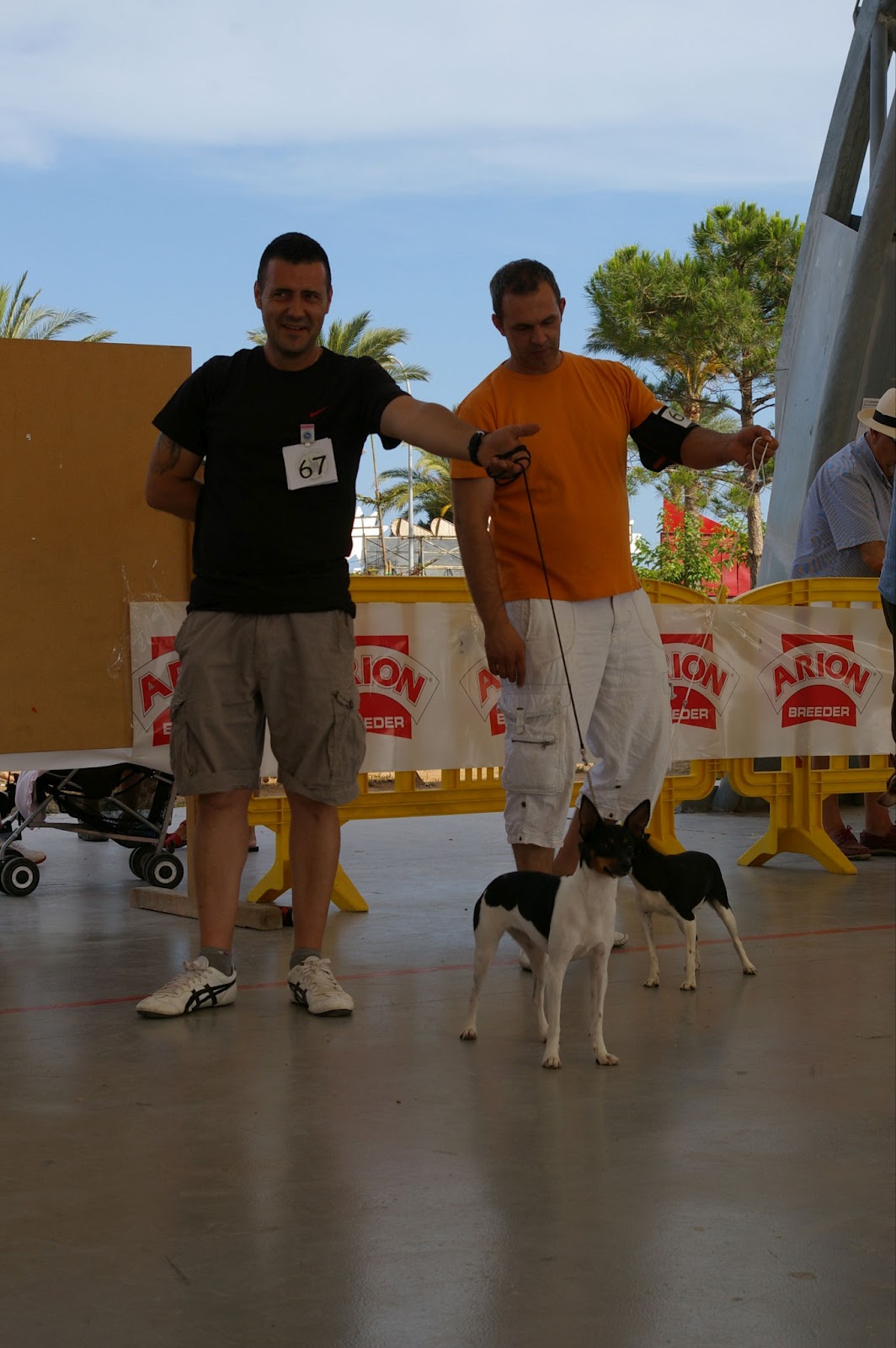 RATER VALENCIÀ. CRÍA Y SELECCIÓN: V MONOGRAFICA DEL GOS RATER VALENCIA