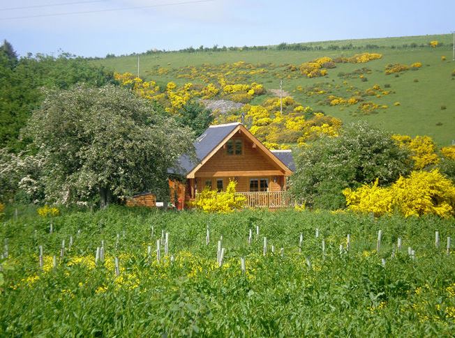 The Holiday Cottages: Deveron Valley Log Cabins and Holiday ...