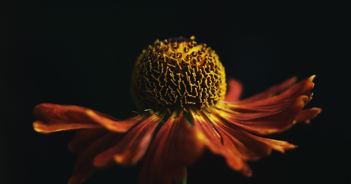 painting, drawing, art.: macro part. 3