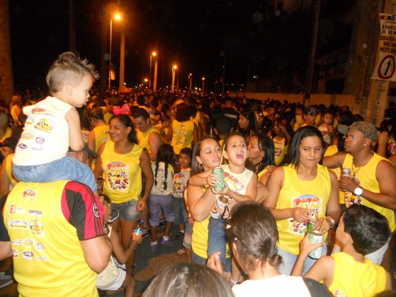 Ciências e Educação. : O Piu Piu Amarelinho puxou milhares de foliões