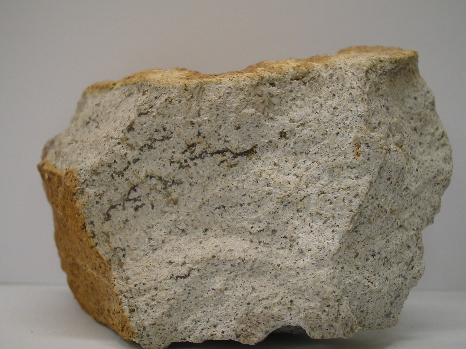 APRENDER CIENCIA INVESTIGANDO: 2013