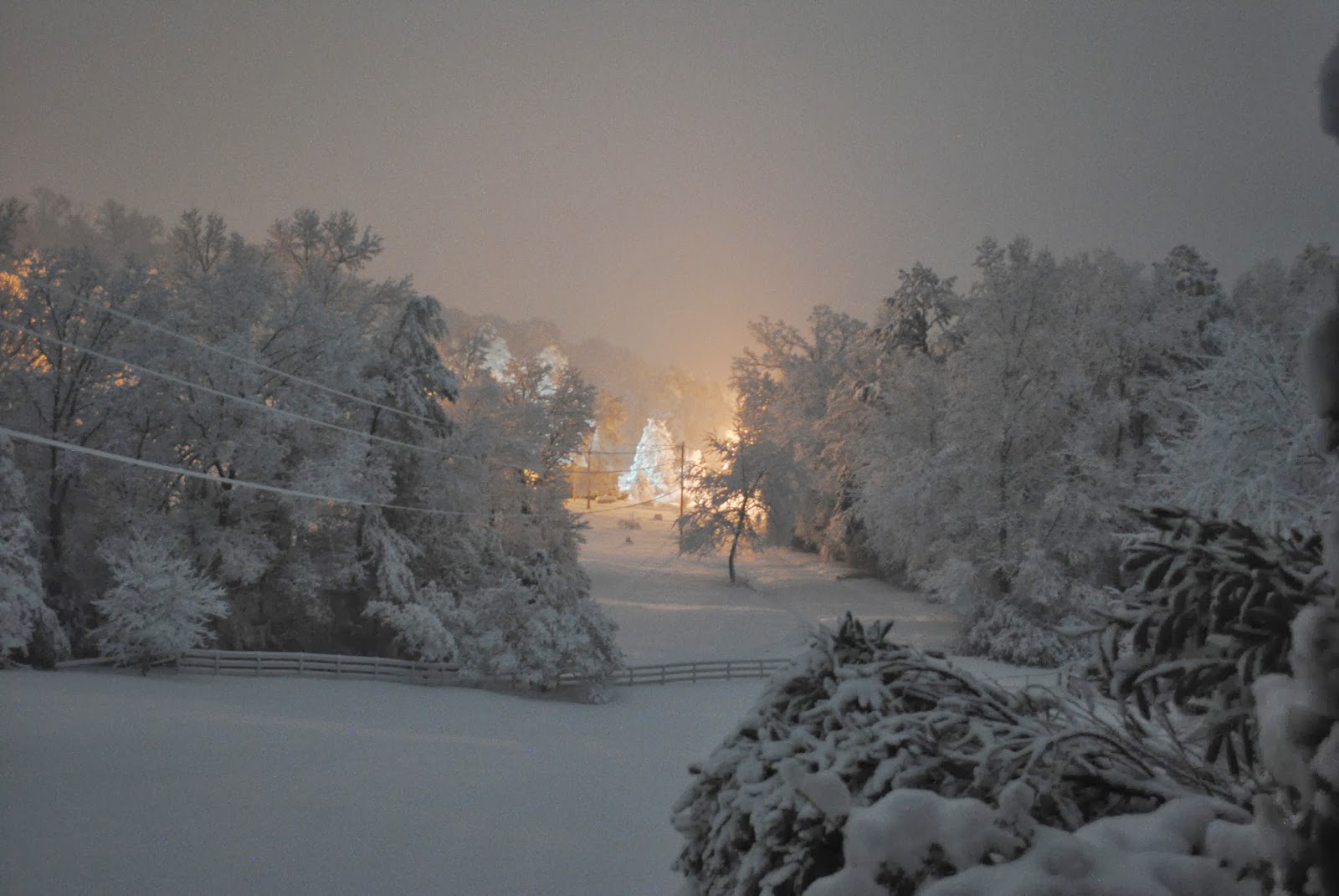 Adventures on Zephyr Hill Farm: The Night the Lights Went Out in Georgia