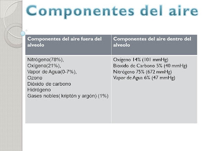 Fisiología de Nivlek (Carpe diem): Componentes del aire