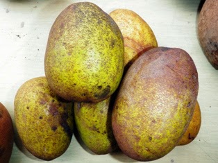 The Blooms of the Ixora: OF STINKY FRUITS..