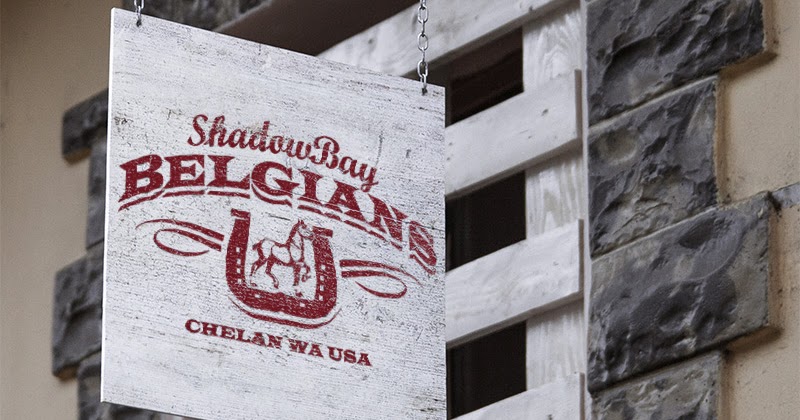 News from Design Hovie Studios - International Graphic Design: Hovie ...