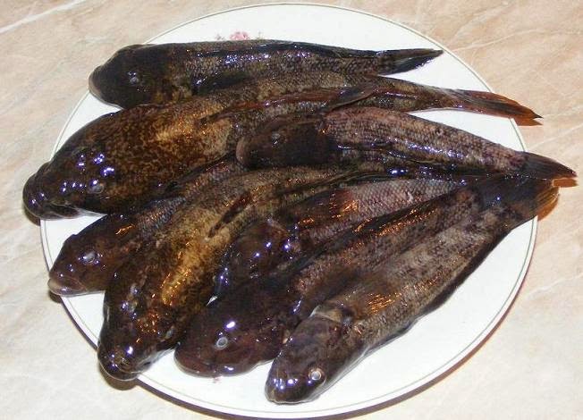 Guvizi prajiti | Preparatedevis.ro