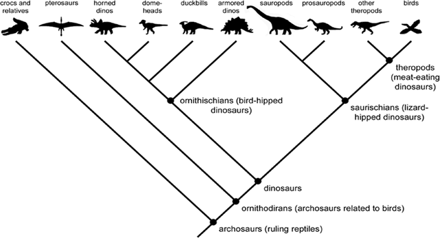 Mesozoic Musings at Jurassic Forest: What is a dinosaur?