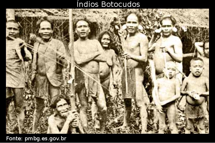 BLOG DA ELIS: Índios botocudos tinham marcas genéticas de povos polinésios