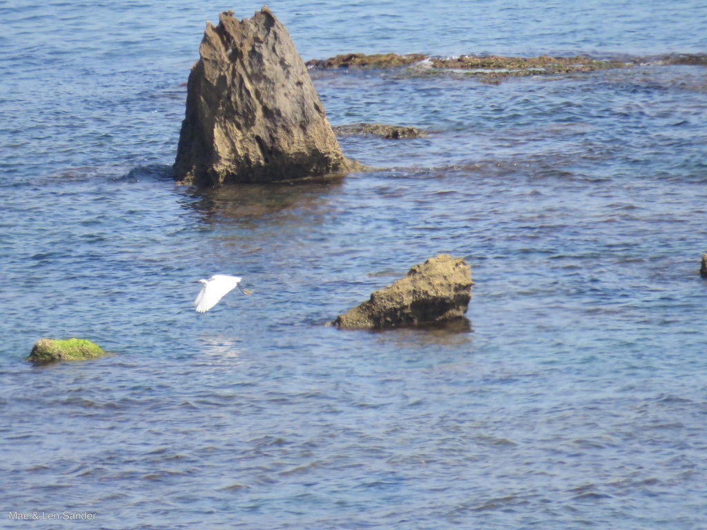 Mae's Food Blog: Jaffa, 3500 Year-Old Port City