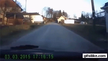 Gifs I Like: Walking the dog fail gif