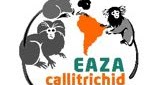 Zoo Jobs: EAZA CALLITRICHID TAG EDUCATION ADVISOR