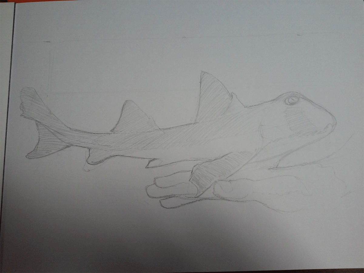 Gabriel Warila, Artist: Port Jackson Pup