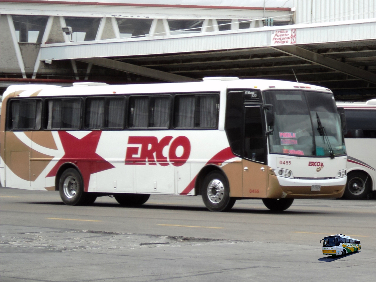 La Red de Autobuses División Sur: GALERIA ERCO-ORO